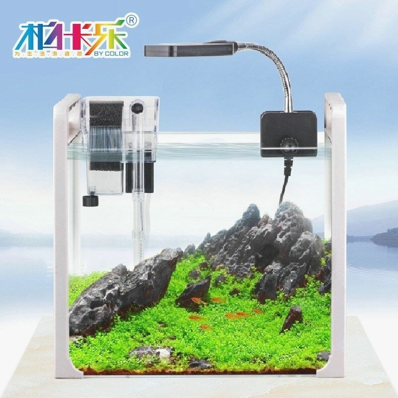 Remarkable Square Fish Tank – Preneer